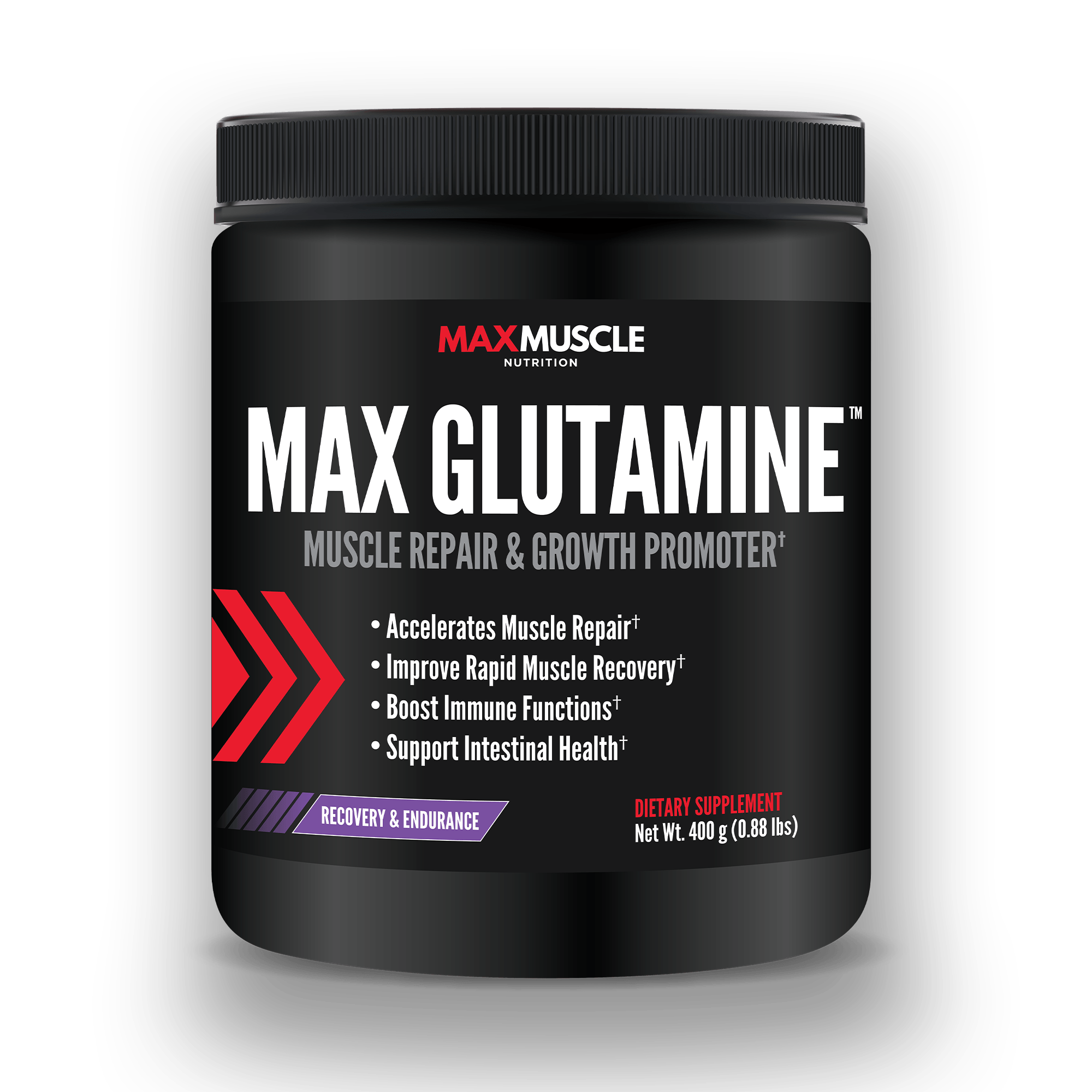 Max Glutamine - Pure L-Glutamine for Muscle Recovery & Immune Support ...
